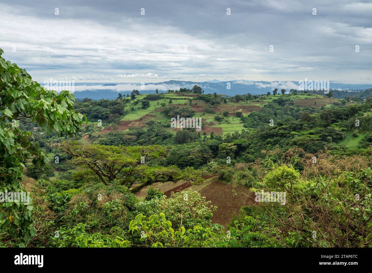 Landscape of Illubabor, western Ethiopia during the rainy season Stock ...