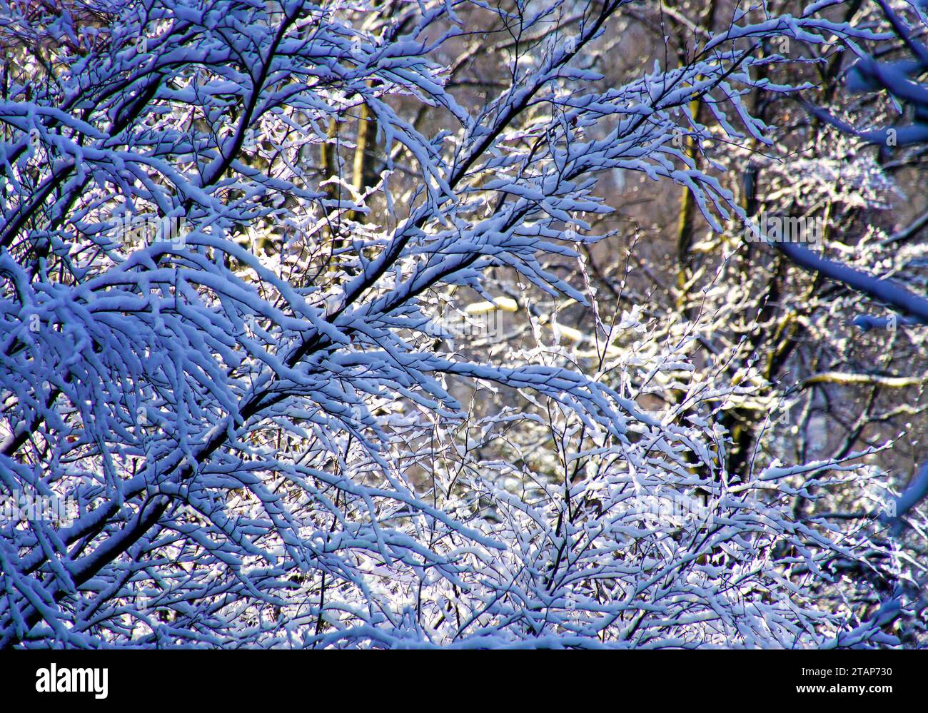 Ast winter hi-res stock photography and images - Alamy