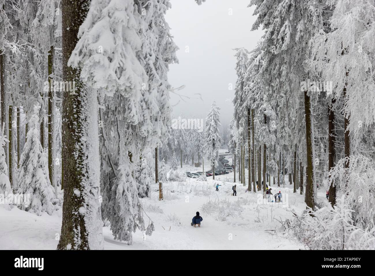 Schmitten, Germany. 02nd Dec, 2023. Snow and cold also ensure an early ...