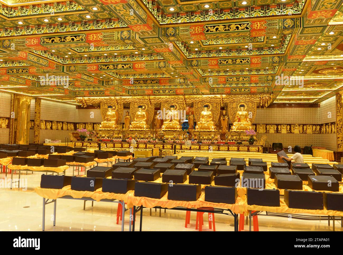 Tsz design hi-res stock photography and images - Alamy