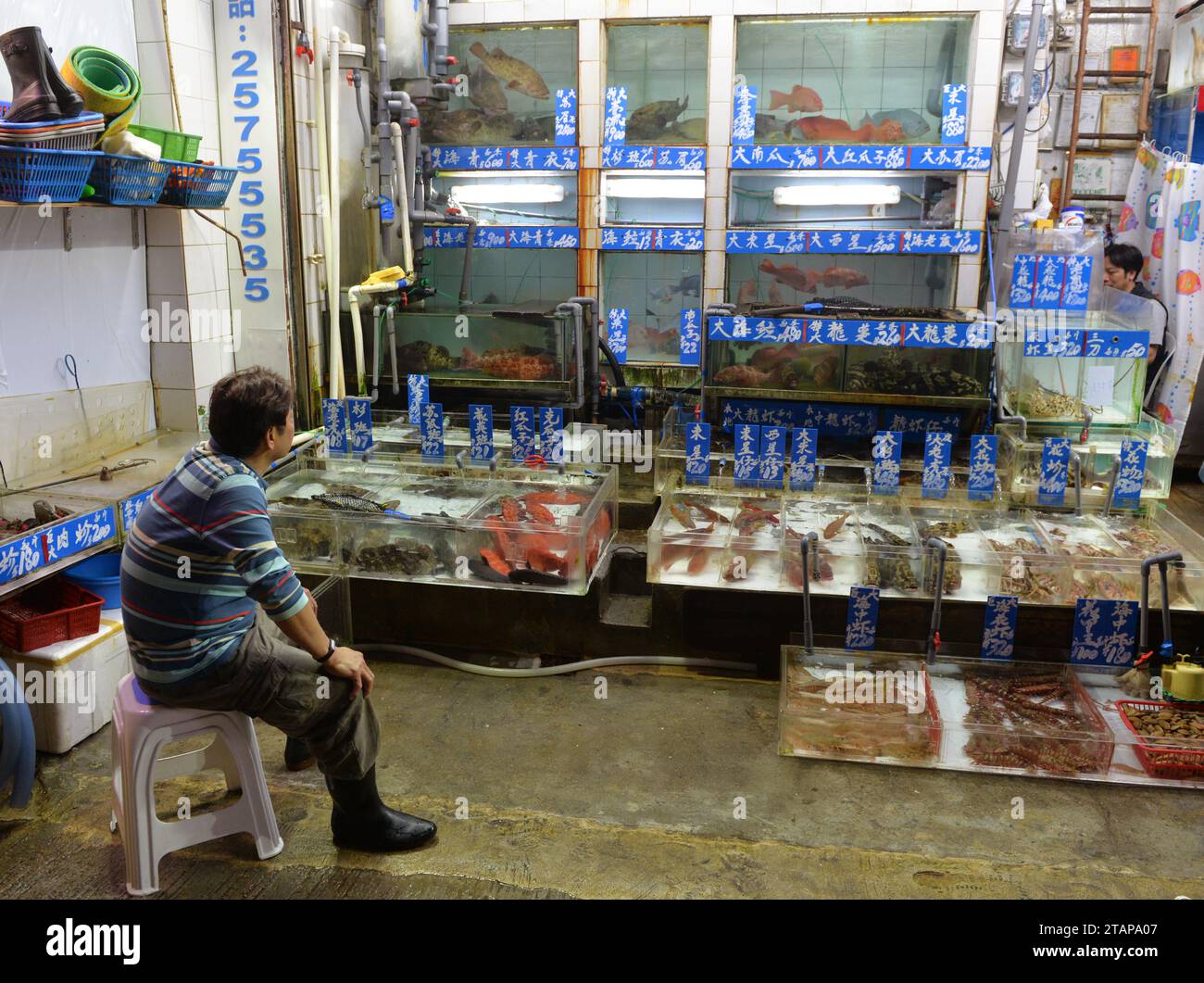 China fish map hi-res stock photography and images - Alamy