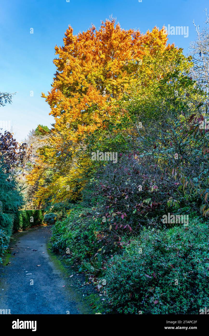 Autumn colors surround a path at Kubota Gardens in Seattle, Washington ...