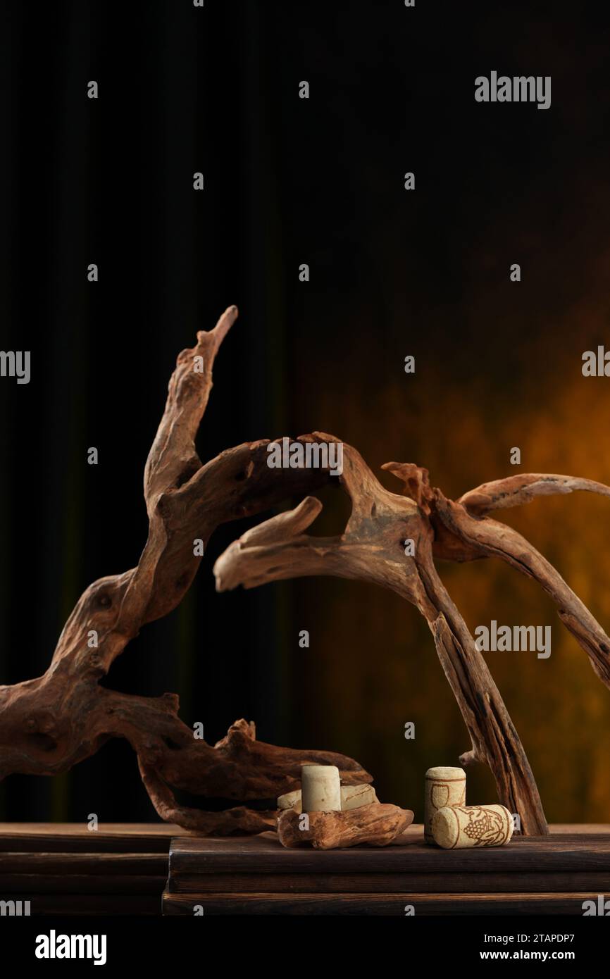 Backdrop for wine displays, wine backdrop, high quality images Stock ...