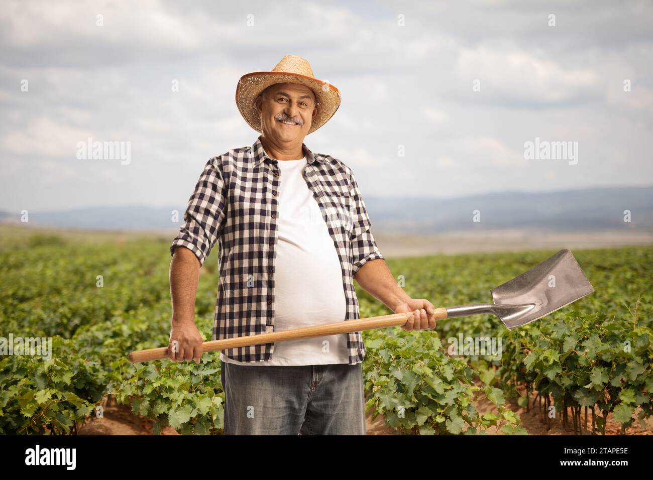 Happy mature farmer with a spade standing on a grapevine field Stock ...