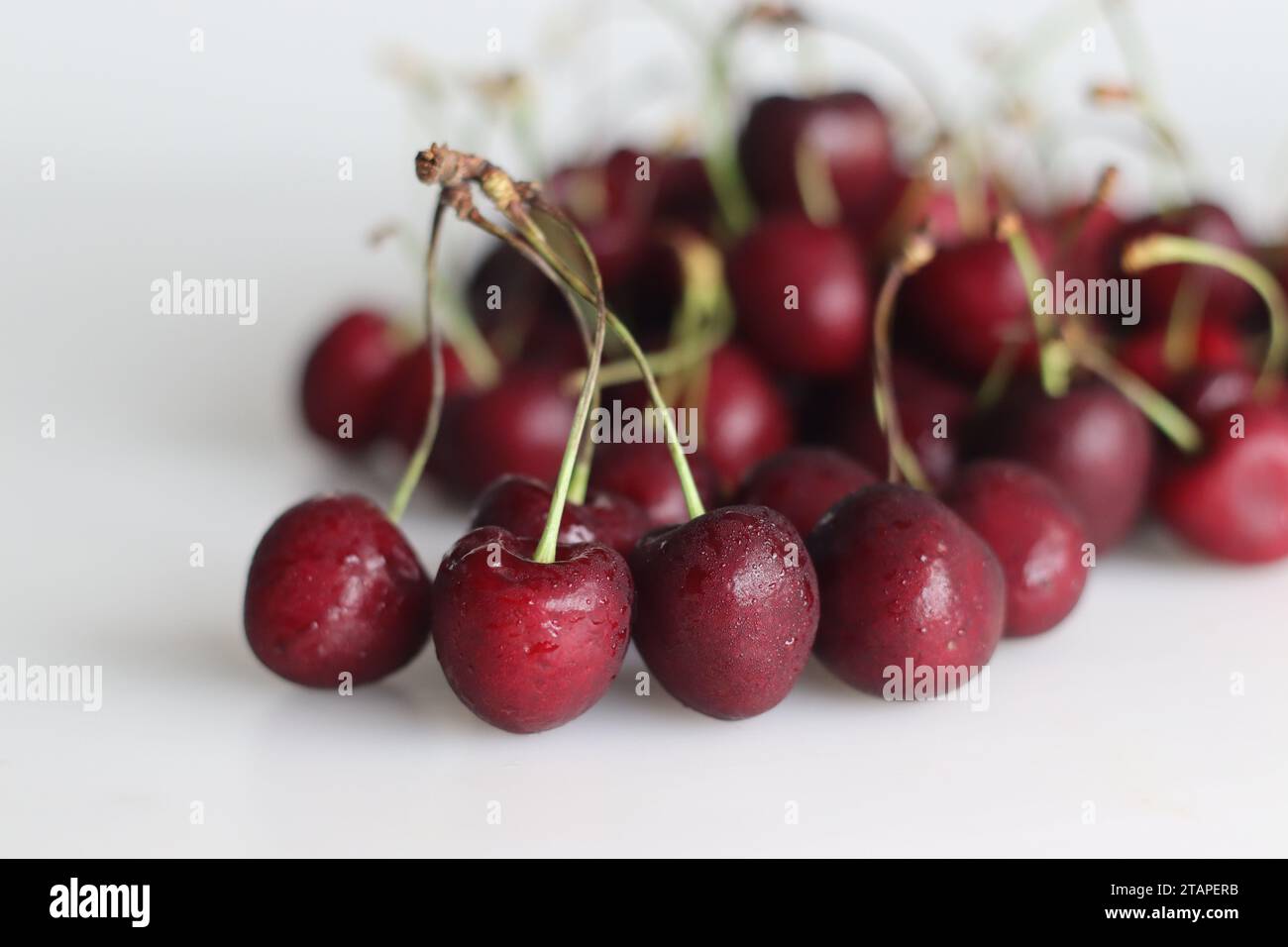 Vibrant, succulent cherries nestled together in a delightful cluster ...