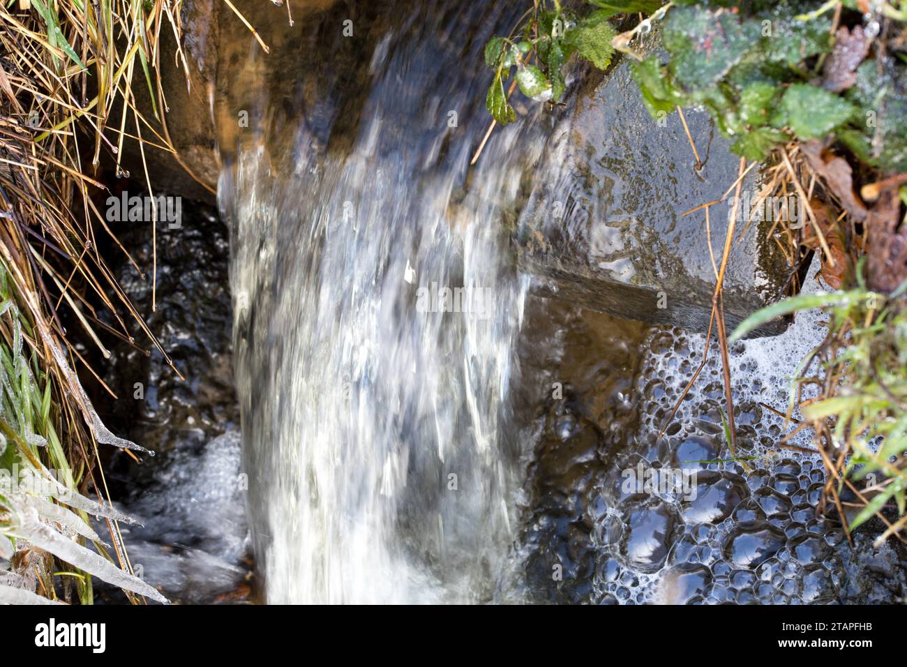 Wasser, Bach, Quellwasser im Winter Stock Photo - Alamy
