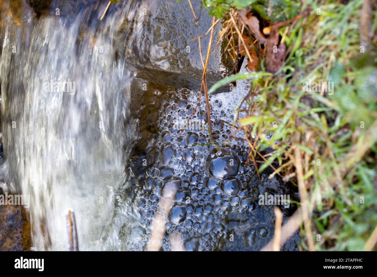 Wasser, Bach, Quellwasser im Winter Stock Photo - Alamy