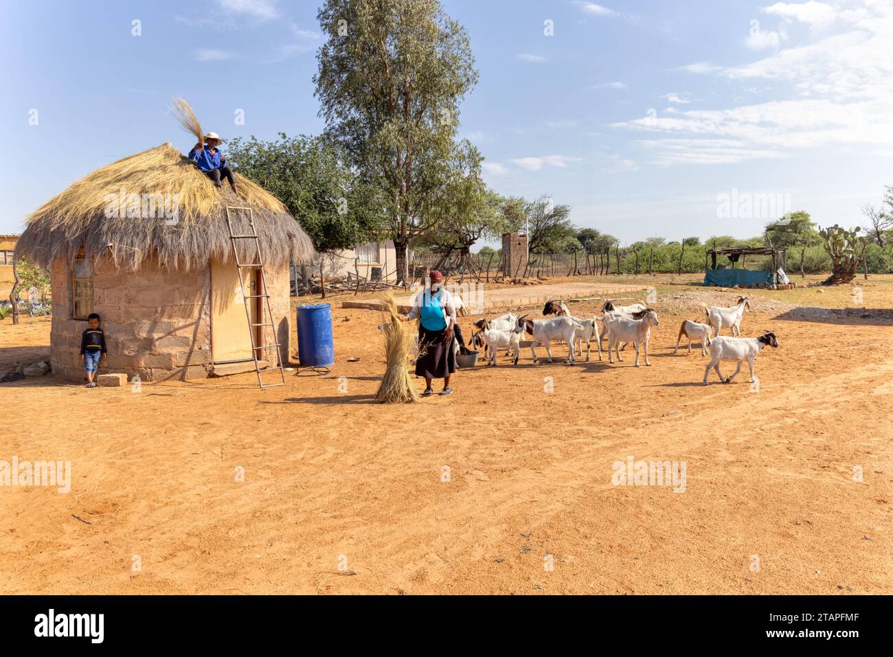 Rondavel home thatch roof in hi-res stock photography and images - Alamy