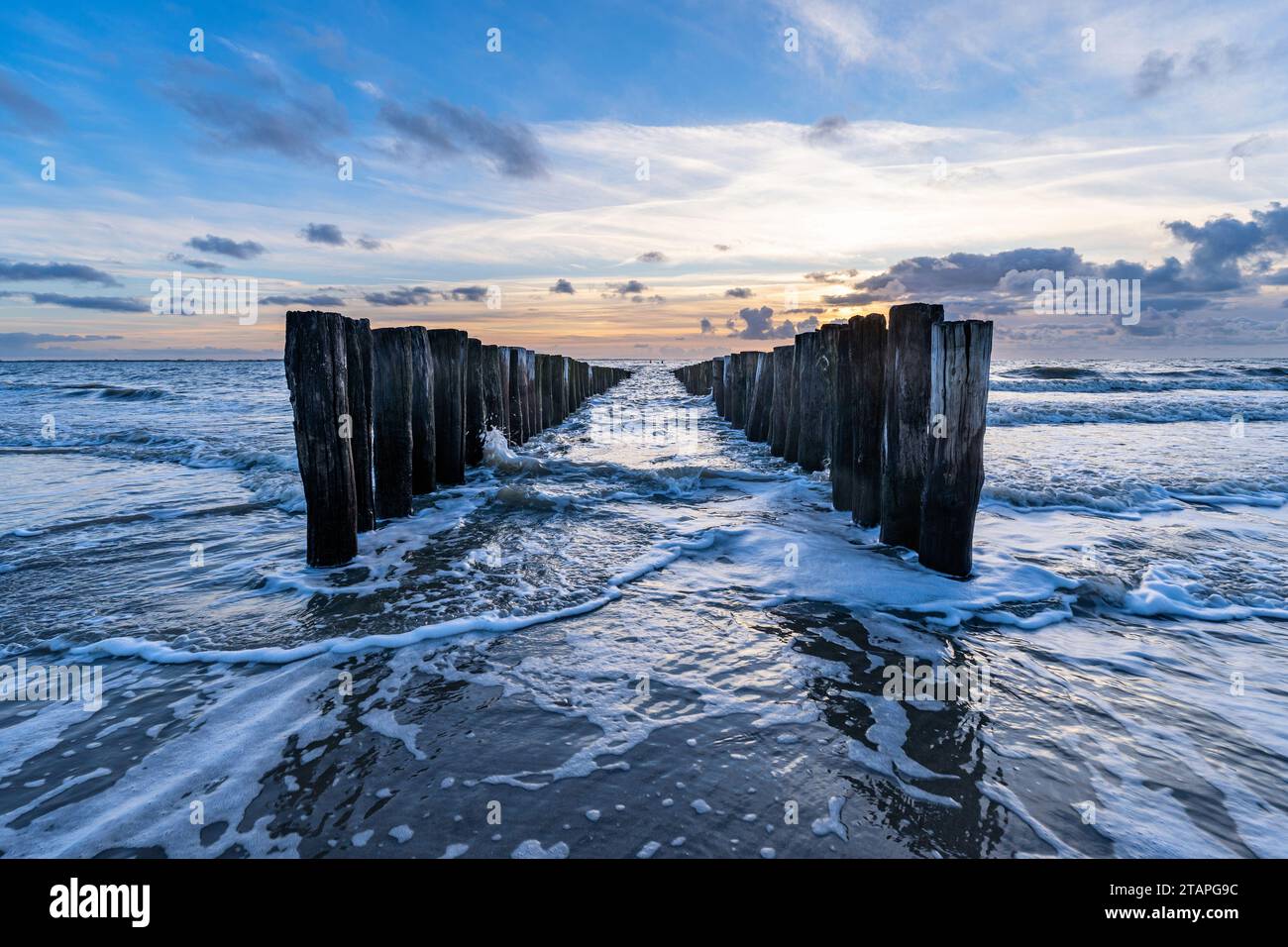 wooden groyne on the beach in Vlissingen, Zeeland, Netherlands Stock ...