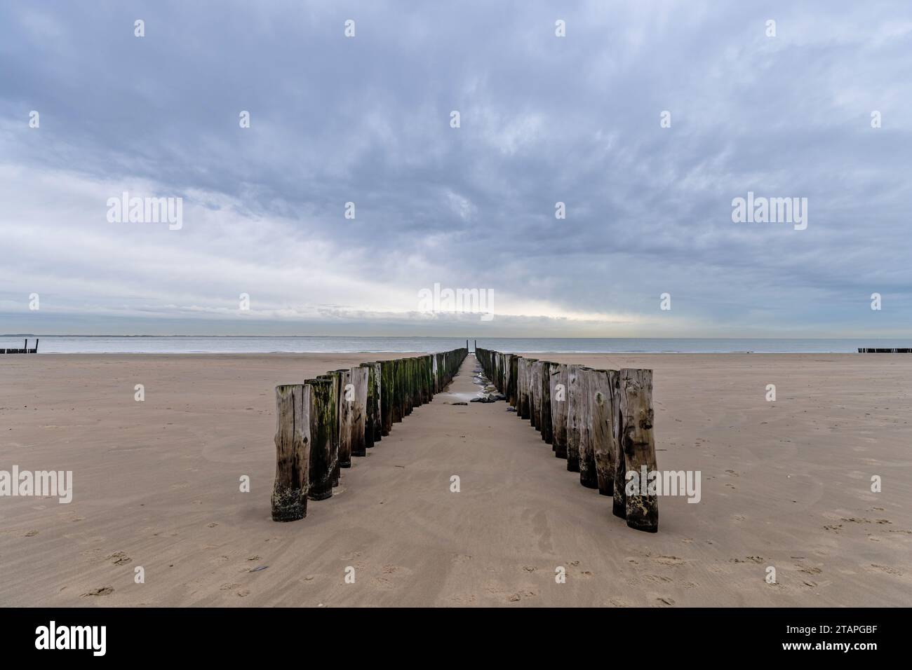 wooden groyne on the beach in Vlissingen, Zeeland, Netherlands Stock ...