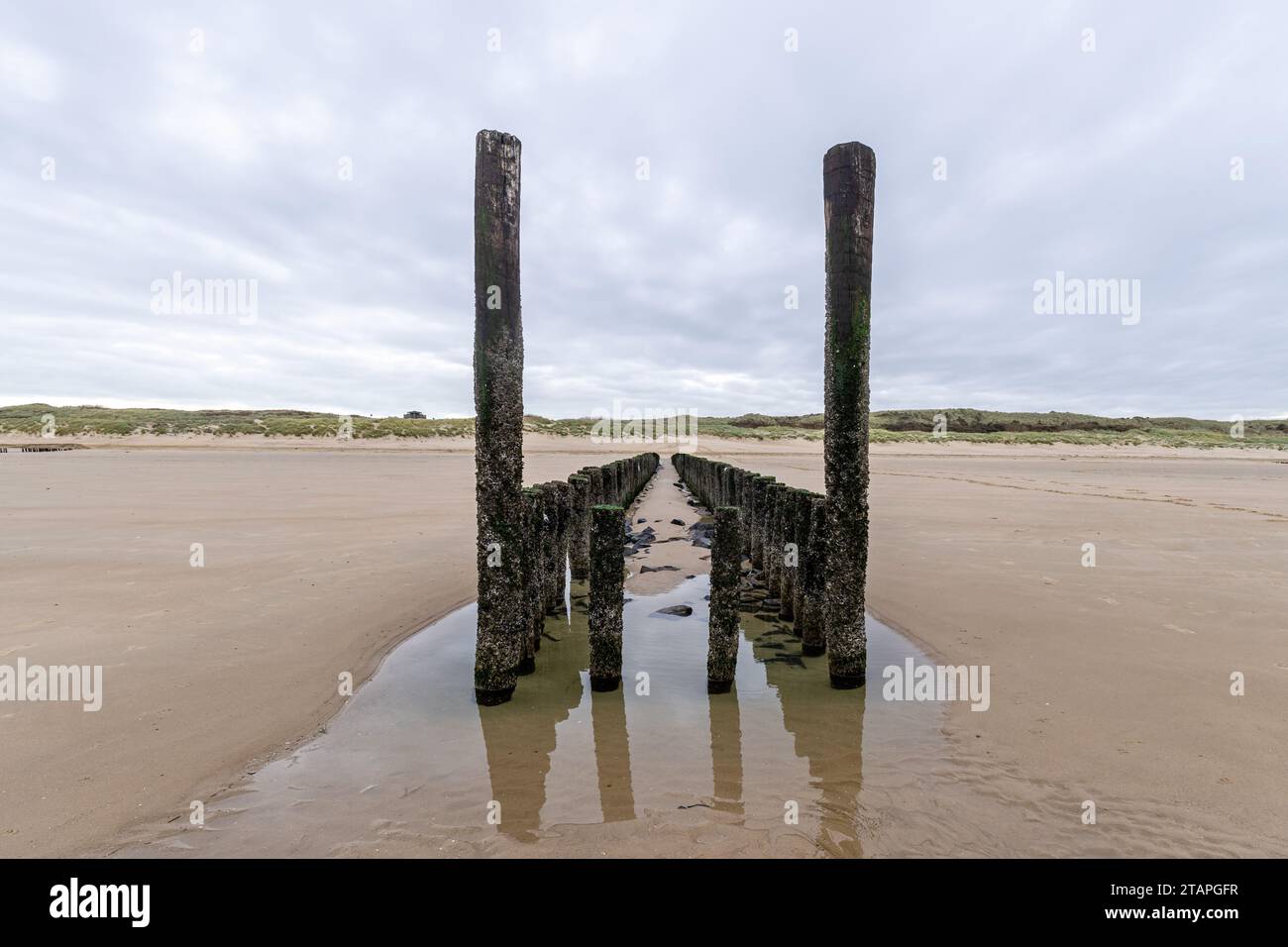 wooden groyne on the beach in Vlissingen, Zeeland, Netherlands Stock ...