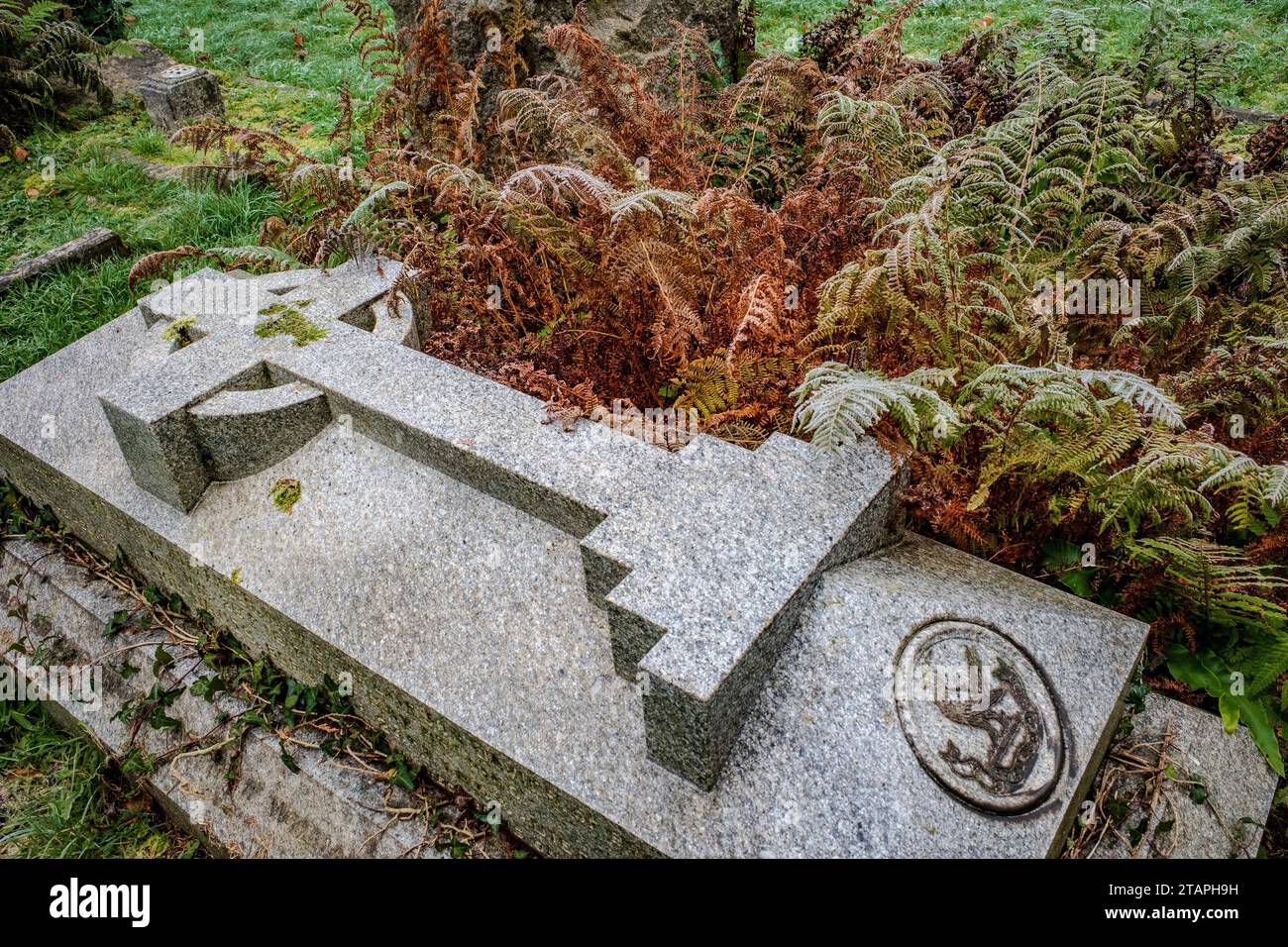 Frosty Winter's day in a cemetery in Cardiff, Wales. Fern-covered ...