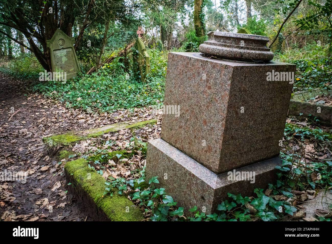 Cold morning on frosty Winter's day in a cemetery in Cardiff, Wales ...
