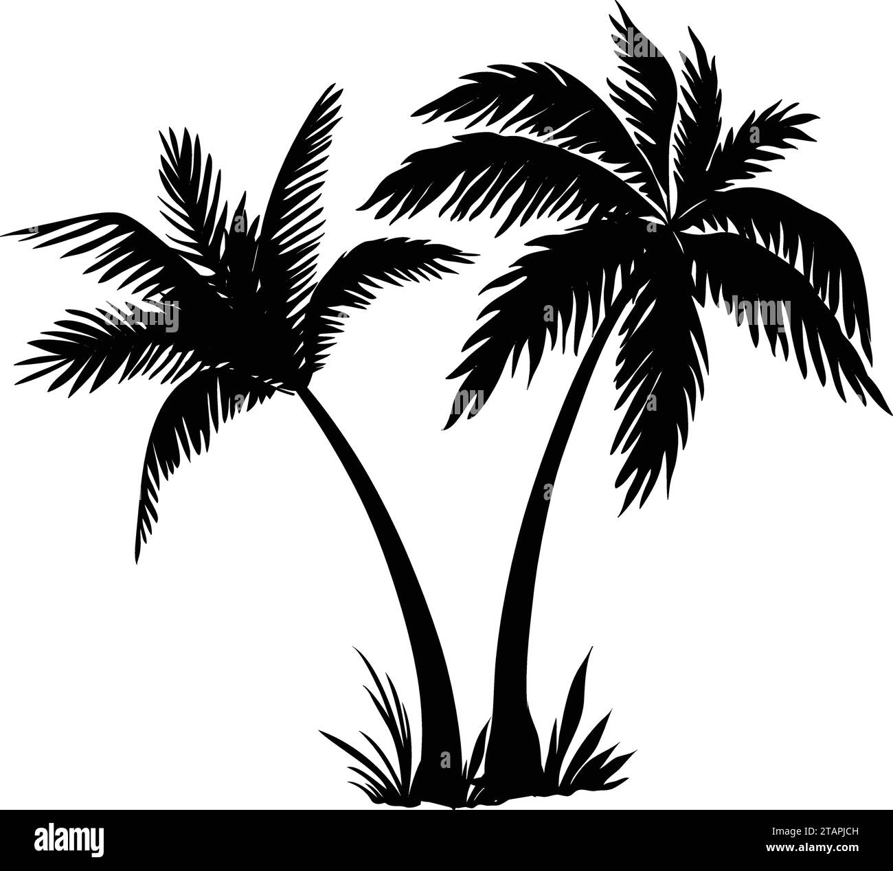 Black palm trees set isolated on white background. Palm silhouettes ...