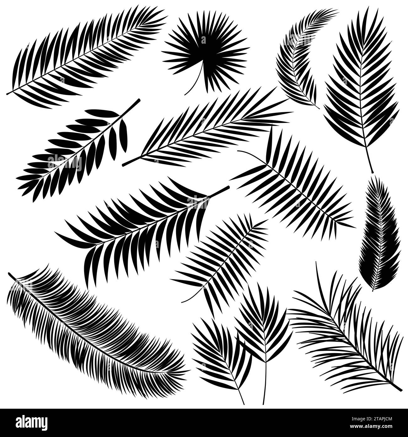 Summer Tropical Palm Tree Leaves Seamless Pattern Vector Grunge Design