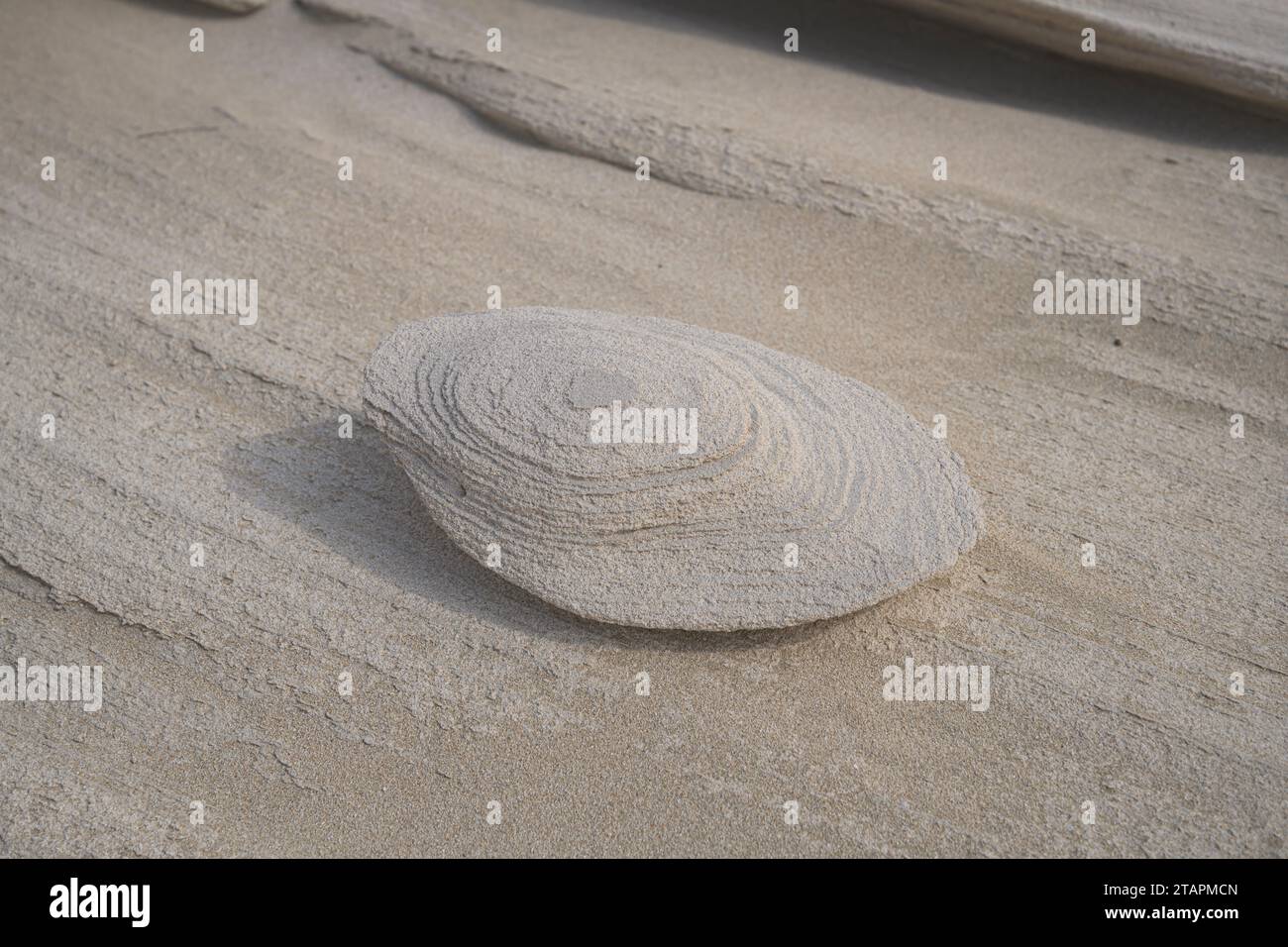 Al Wathba's fossil dunes, wind-carved sandstone wonders, Nature's ...