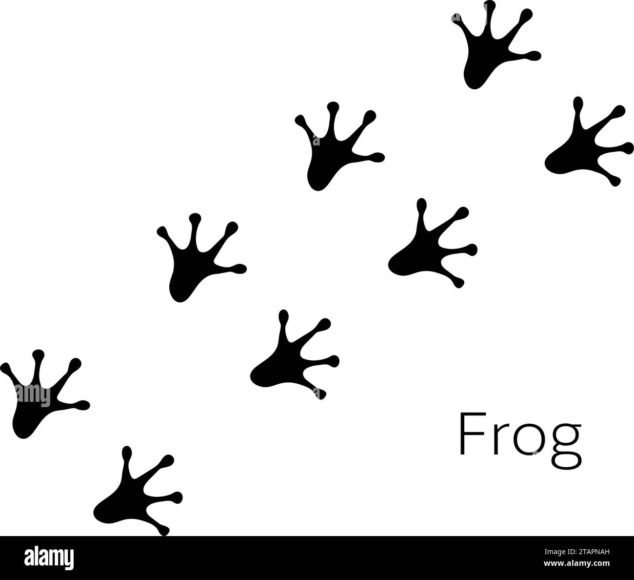 Frog vector logo hi-res stock photography and images - Alamy