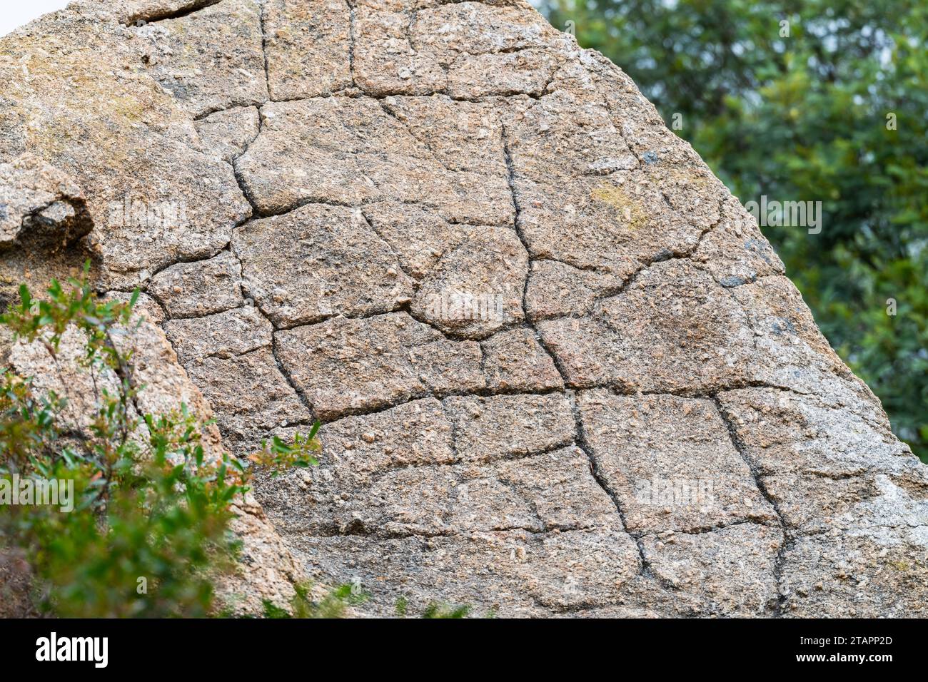 Erosional surface of granite outcrop. Victoria, Australia Stock Photo ...
