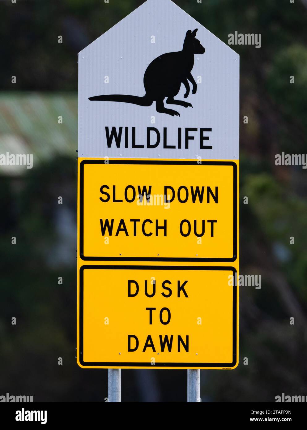 Road-side warning sign for wildlife. Tasmania, Australia Stock Photo ...