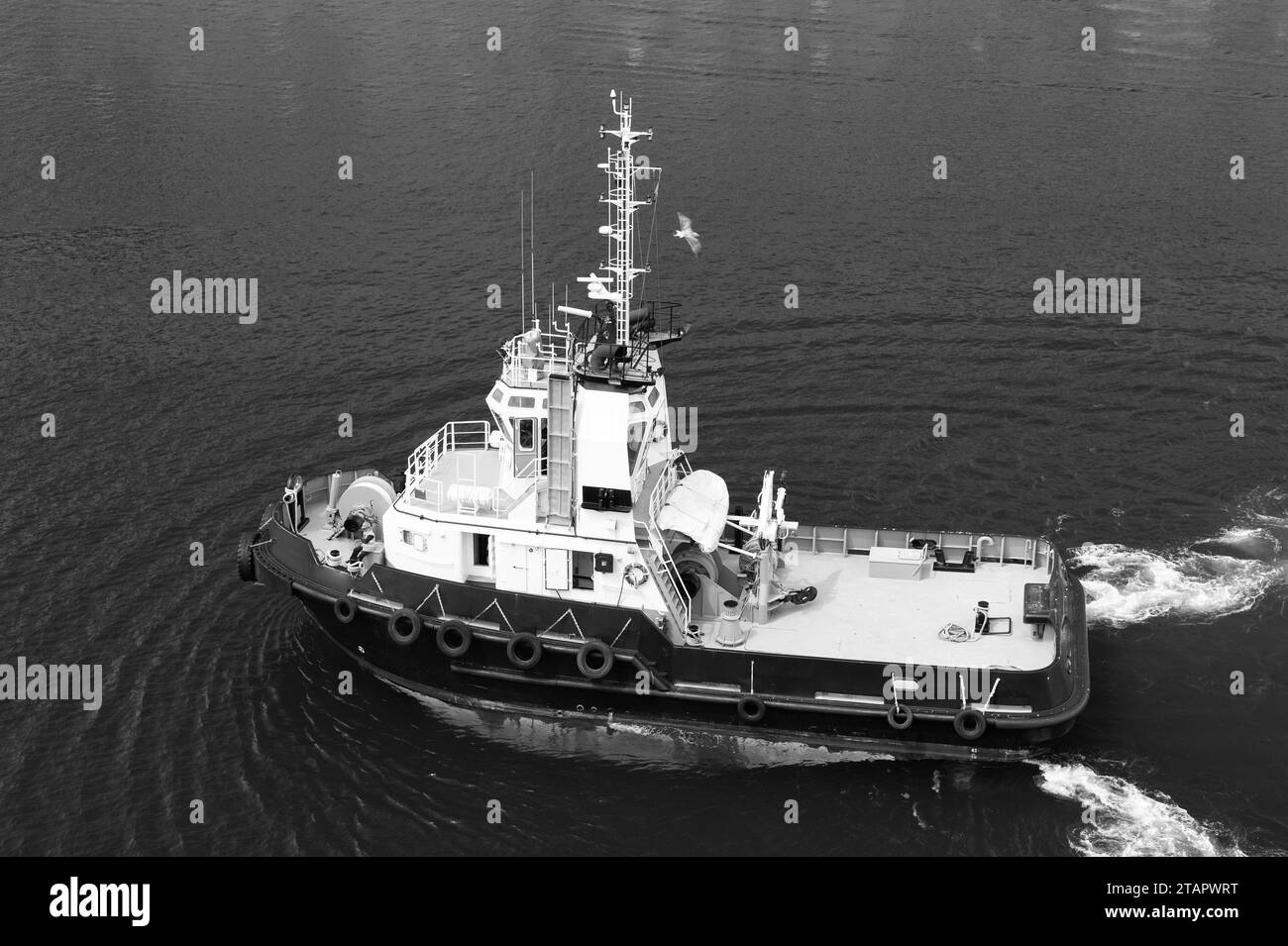 aerial view of marine tugboat in sea. photo of tugboat. tugboat outdoor ...