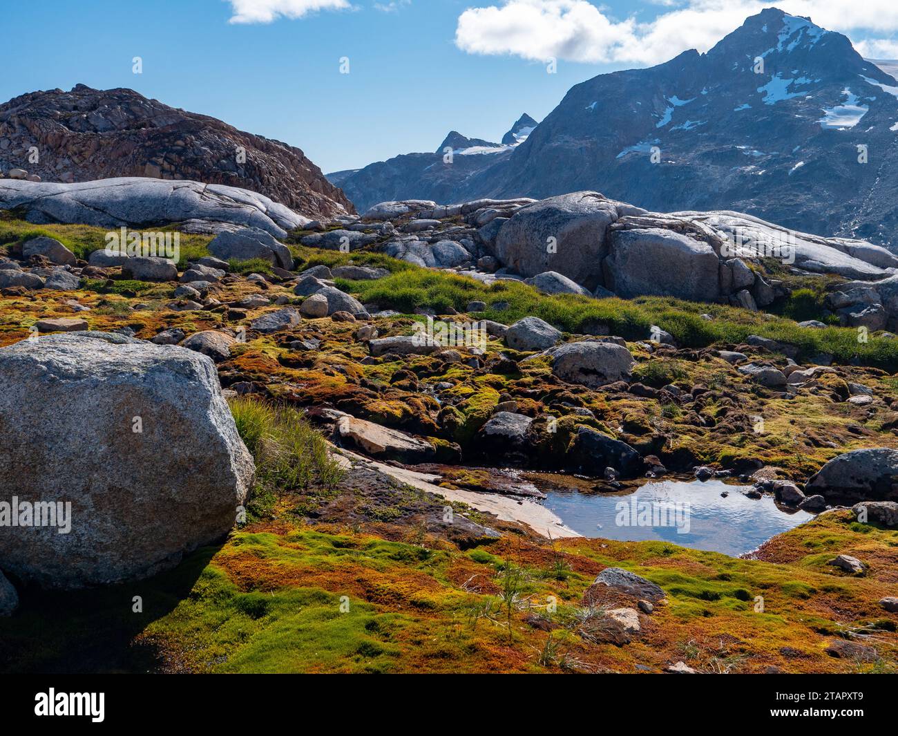 idyllic landscape with moss and water in greenland Stock Photo - Alamy