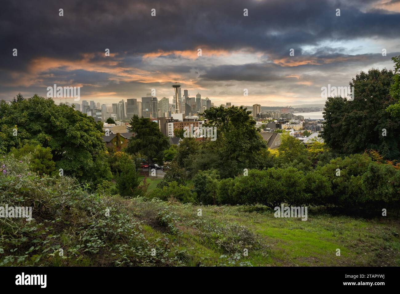 Behold the harmonious blend of natural beauty and urban excitement in ...