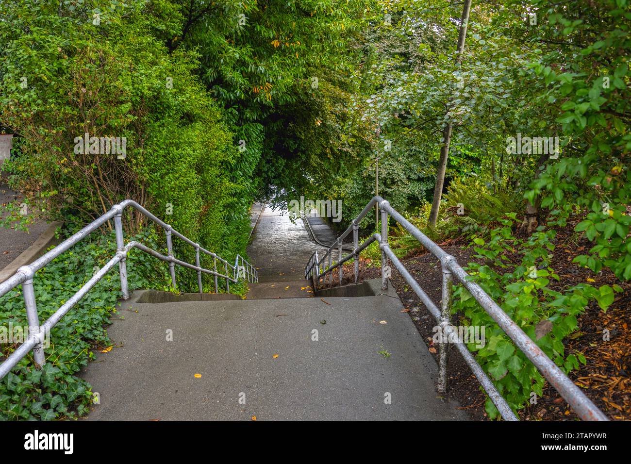 pathway with stairs down thru tree covers walkway Stock Photo - Alamy