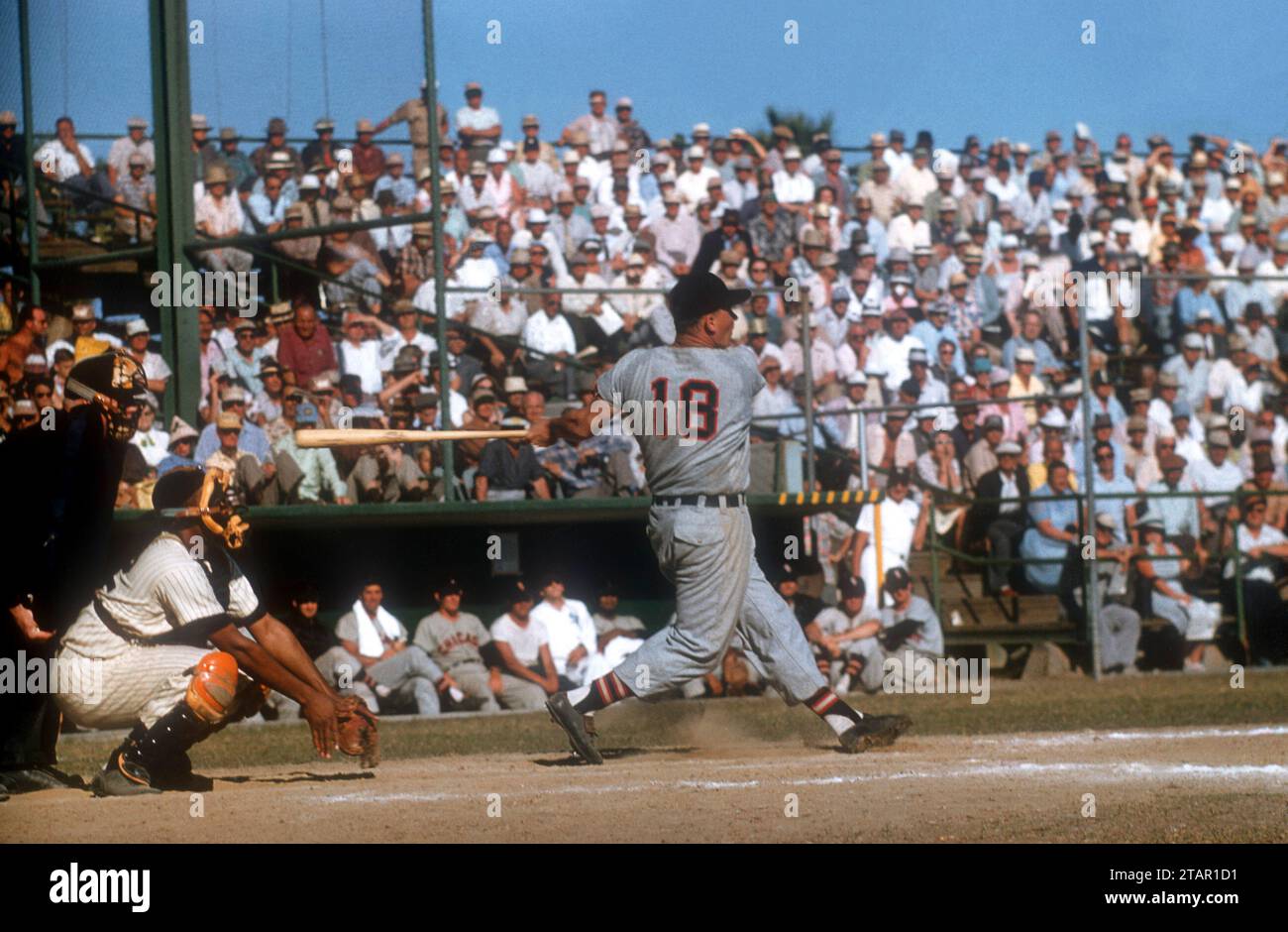 ST. PETERSBURG, FL - MARCH 12: Bob Nieman #18 of the Chicago White Sox ...