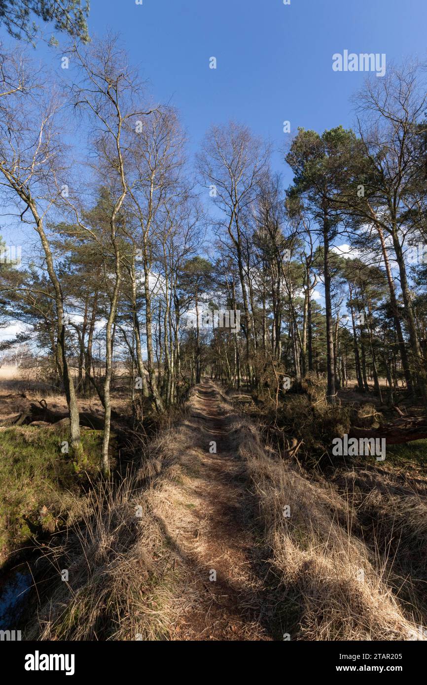 Boundary brook nature hi-res stock photography and images - Alamy