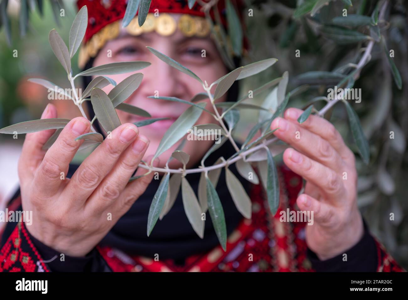 Portrait Of woman wearing palestinian traditional clothes in olive ...