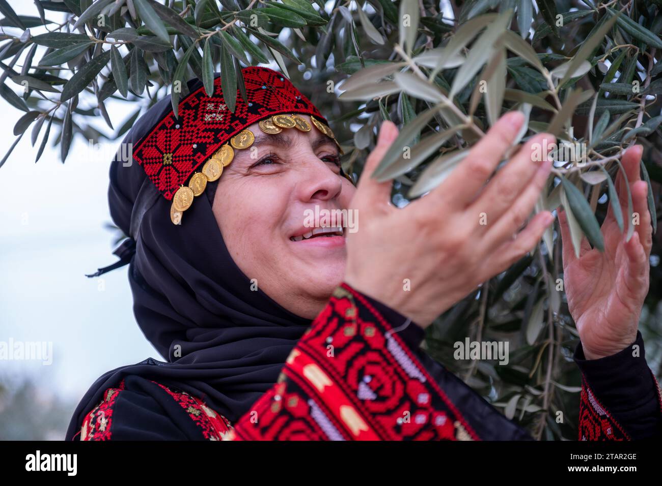 Portrait Of woman wearing palestinian traditional clothes in olive ...