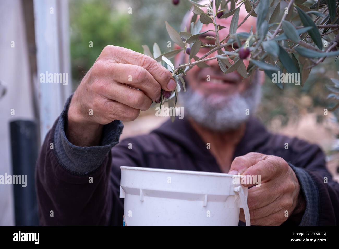 Male collecting food from hi-res stock photography and images - Alamy