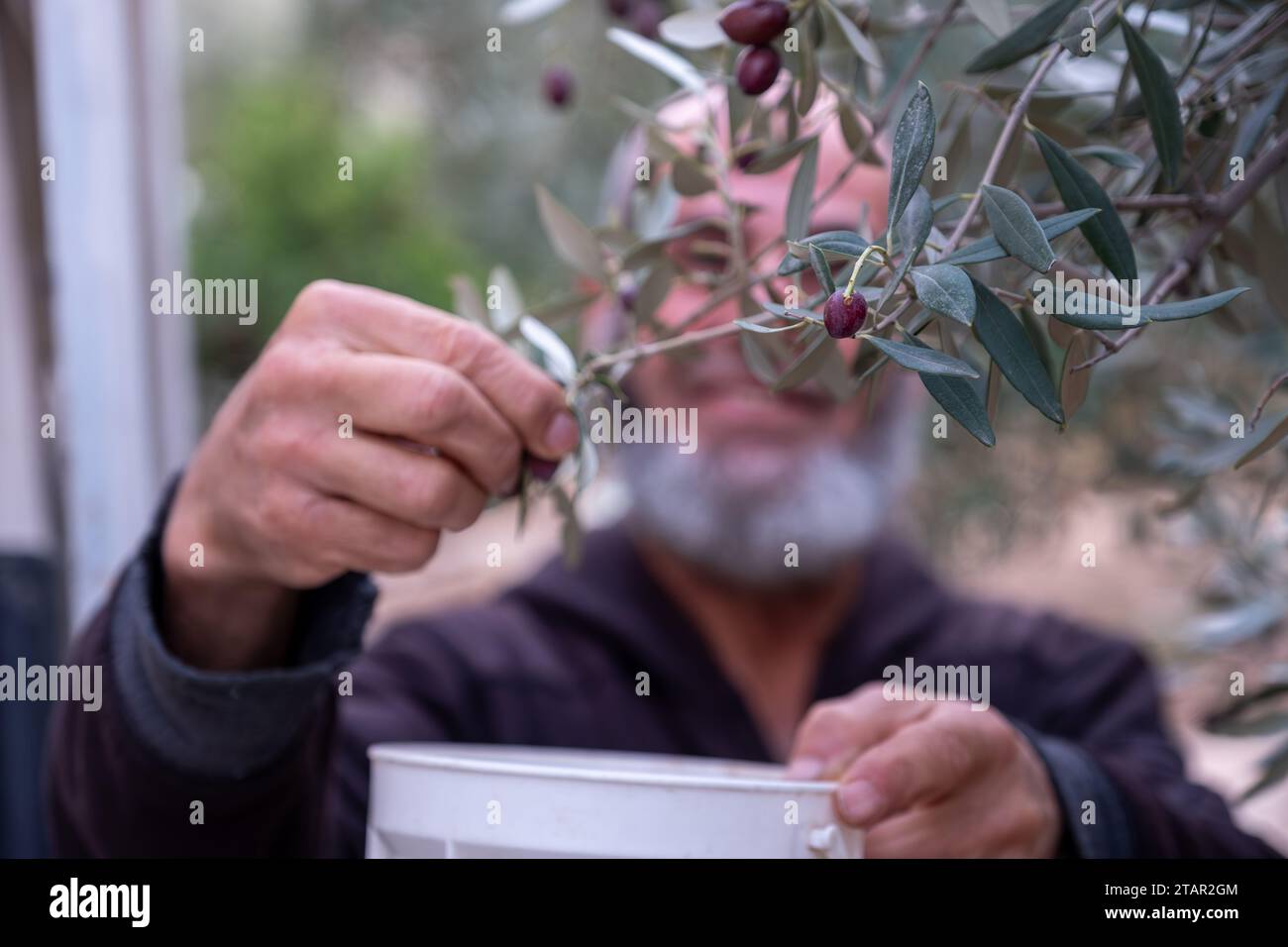 Male collecting food from hi-res stock photography and images - Alamy