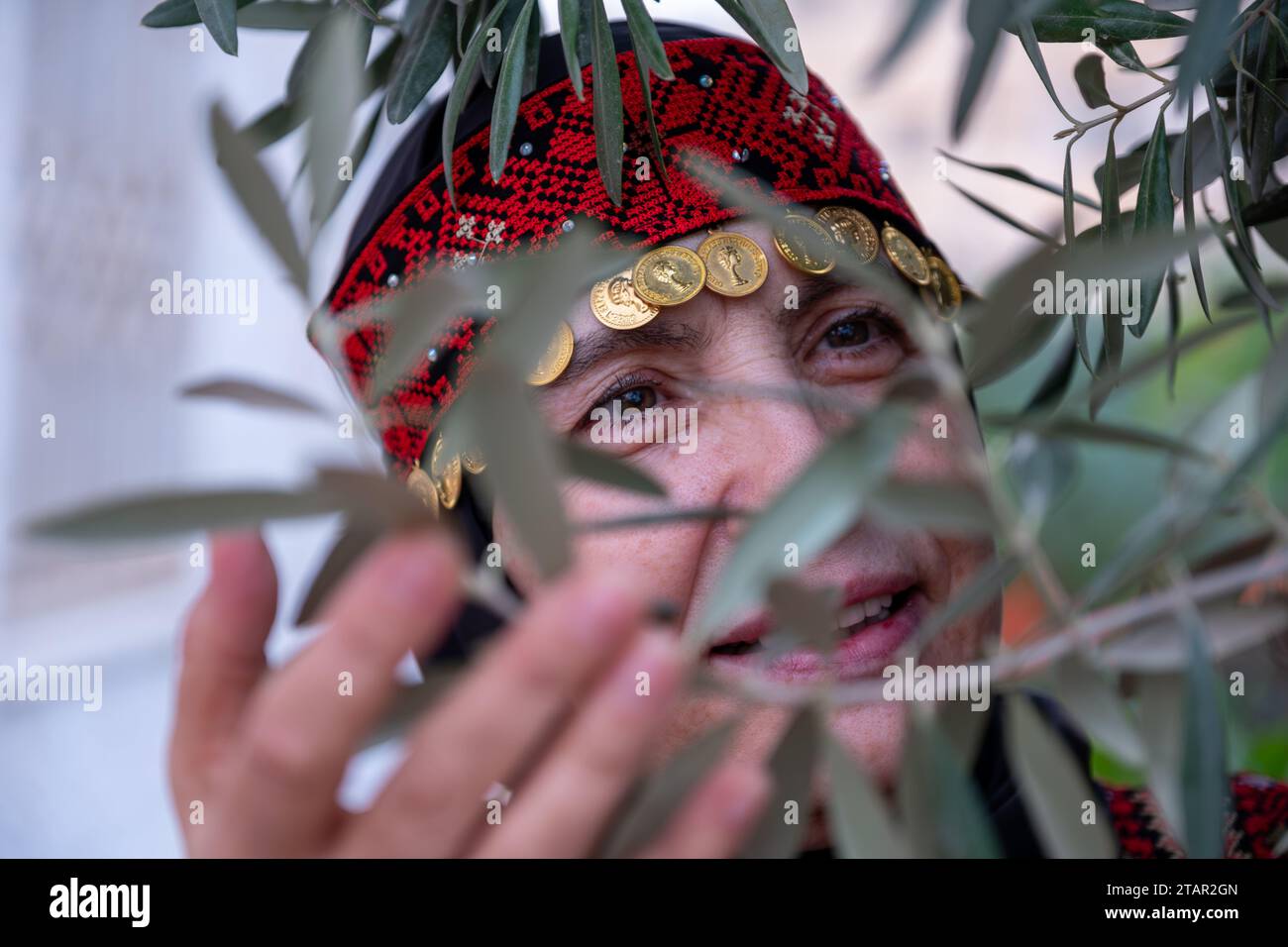 Portrait Of woman wearing palestinian traditional clothes in olive ...