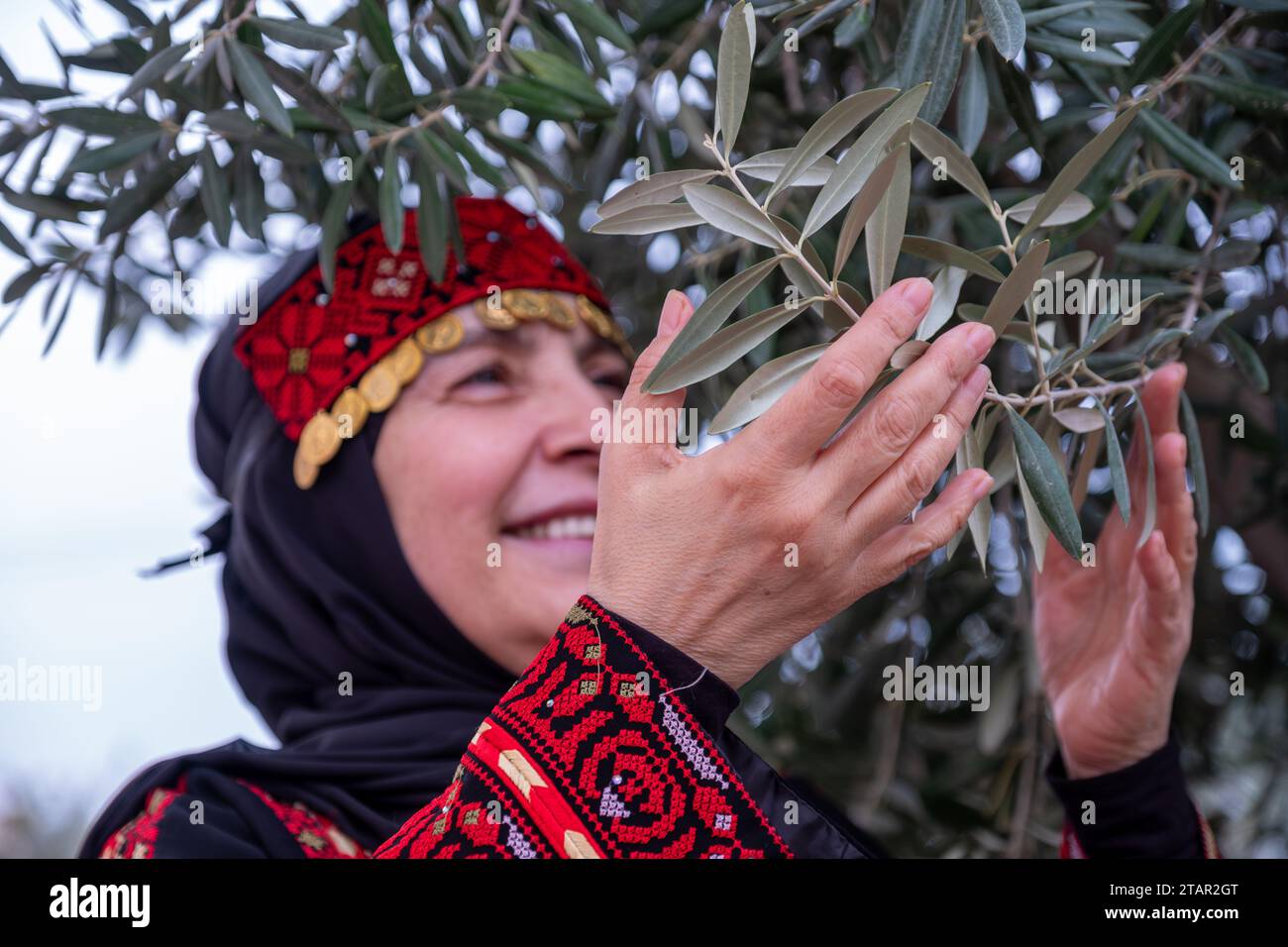 Portrait Of woman wearing palestinian traditional clothes in olive ...