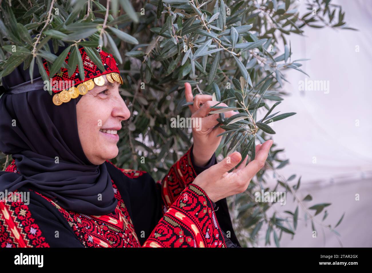 Portrait Of woman wearing palestinian traditional clothes in olive ...