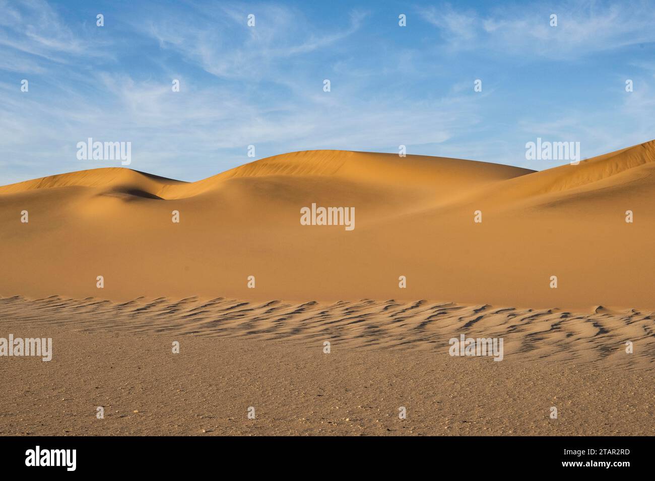 Dorob Dunes National Park, Namib Desert, Swakopmund, Namibia Stock ...