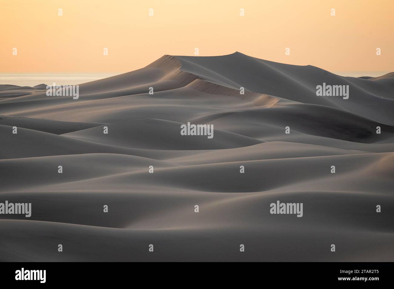 Dorob park hi-res stock photography and images - Alamy