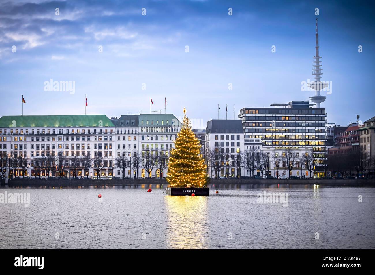 Alstertanne zur Weihnachtszeit auf der Binnenalster in Hamburg ...