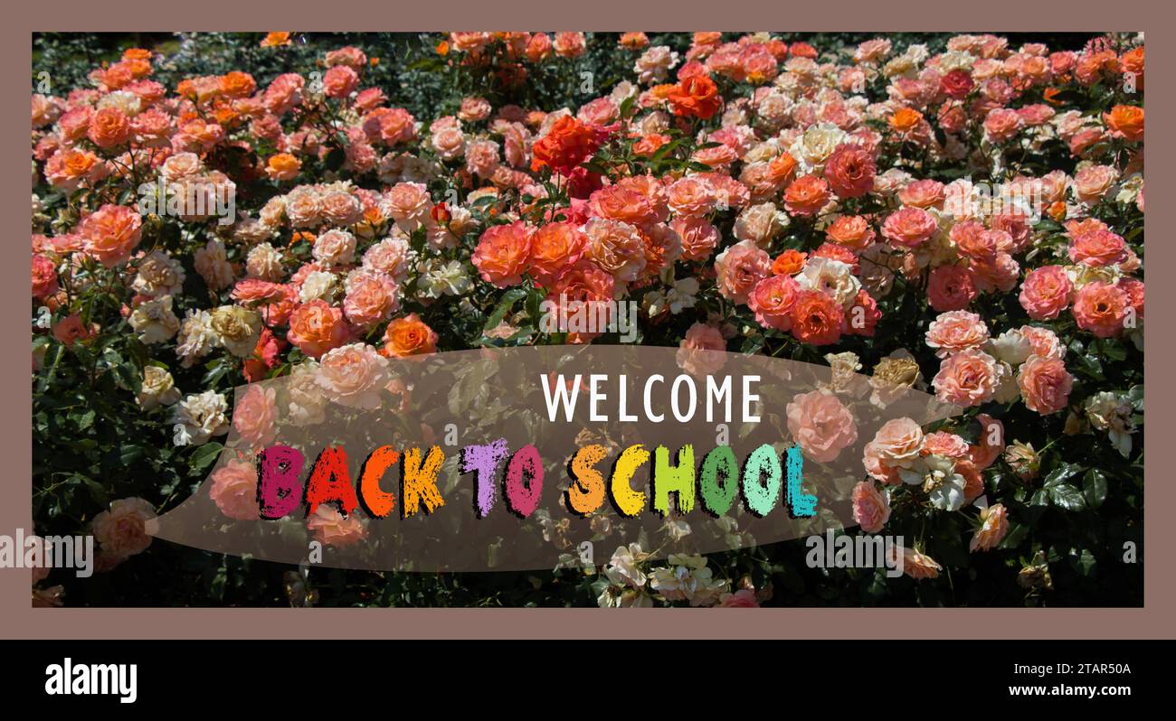 Back to school, education background for invitation, promotion poster ...