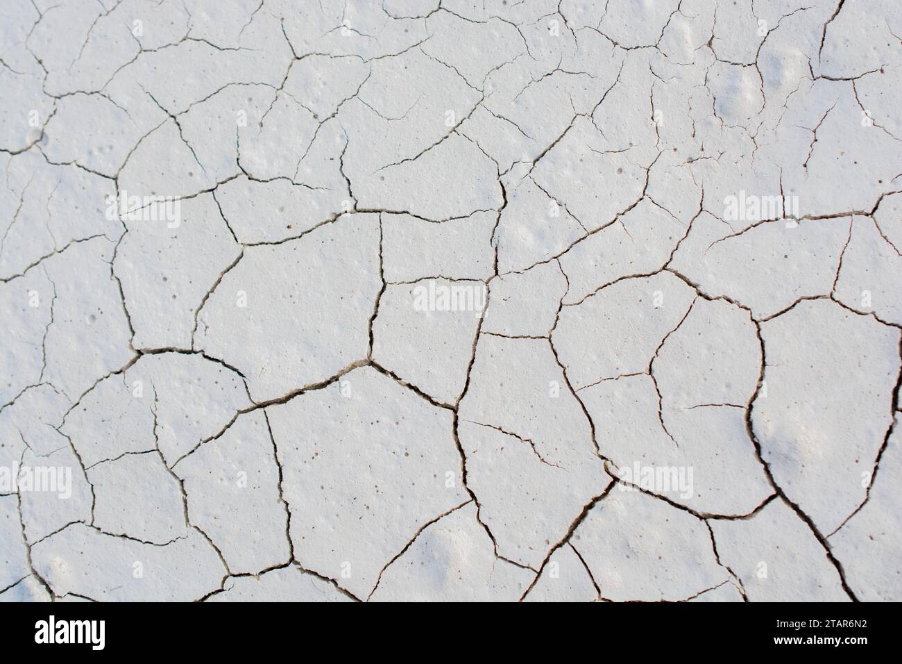 Brown color dry cracked muddy earth as a background texture Stock Photo ...