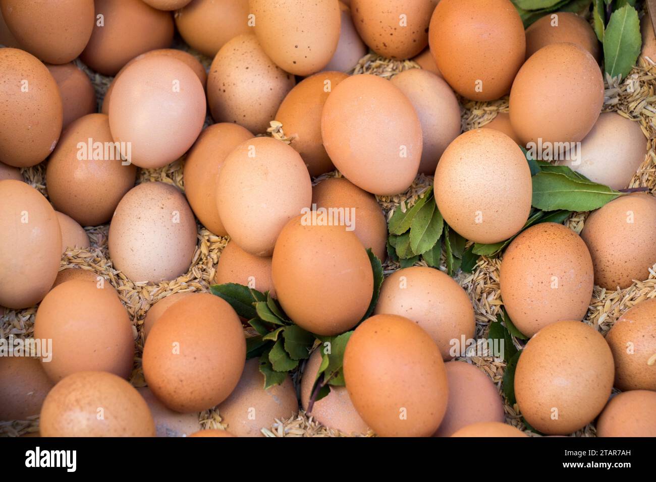 Organic fresh farm eggs at the market place Stock Photo - Alamy