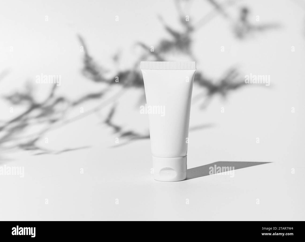 Scrub container Black and White Stock Photos & Images - Alamy