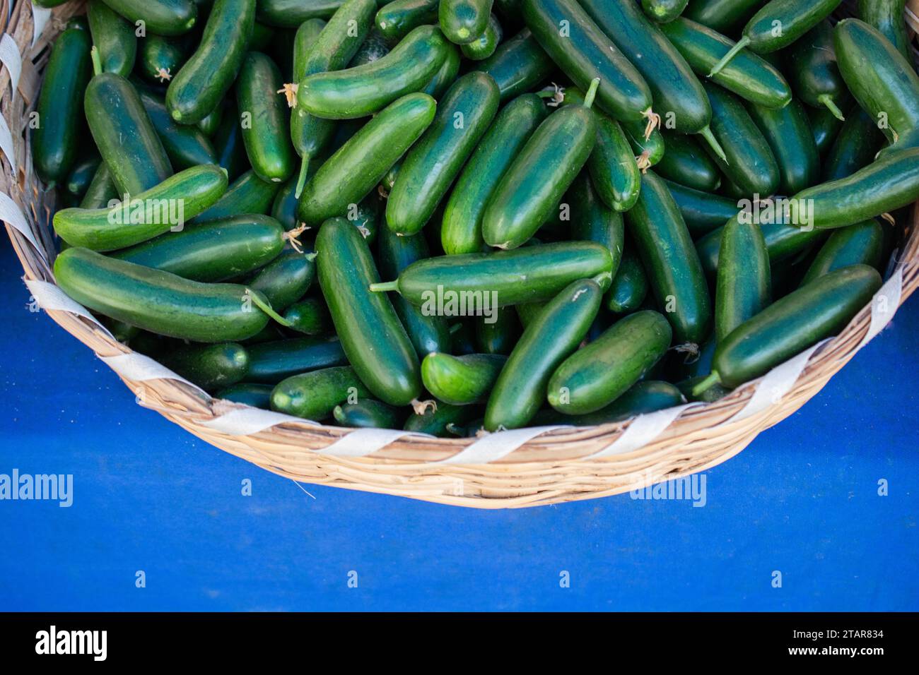Bunch of cucumbers hi-res stock photography and images - Alamy