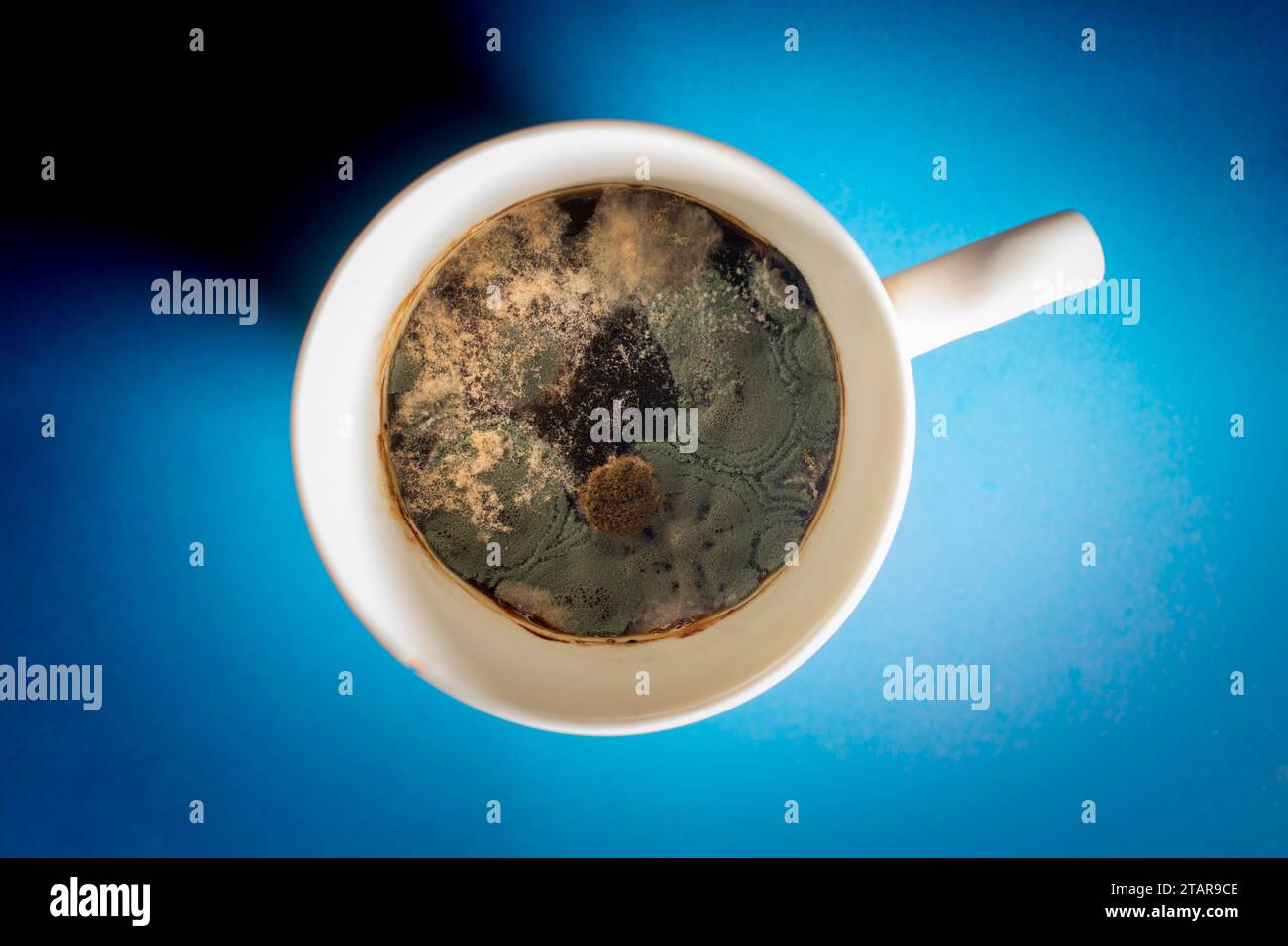 Mold on drink in a cup.background, fungus bacteria on surface Stock ...