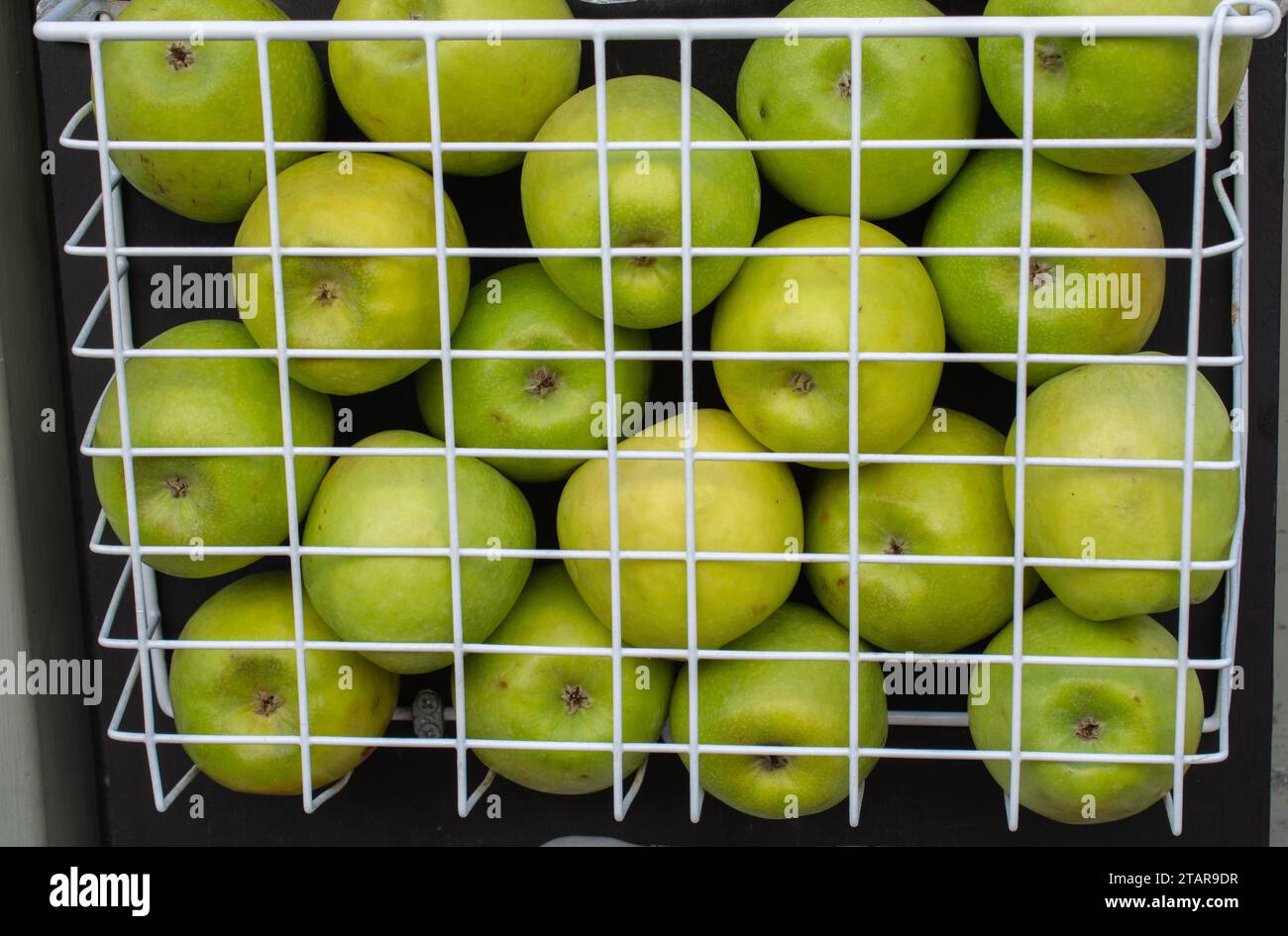 Green apples in a market place in display Stock Photo - Alamy