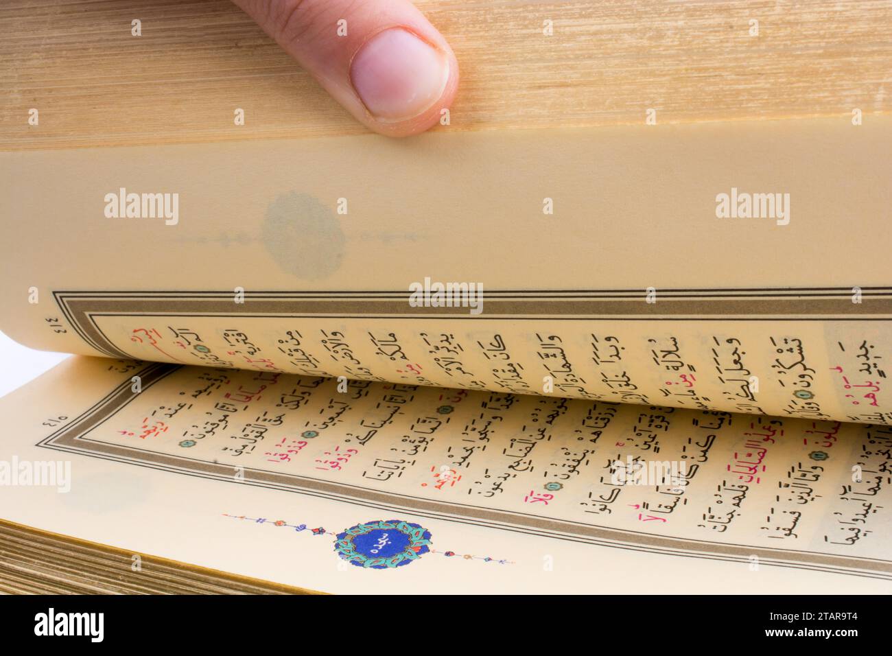 Hand holding The Holy Quran on a white background Stock Photo - Alamy