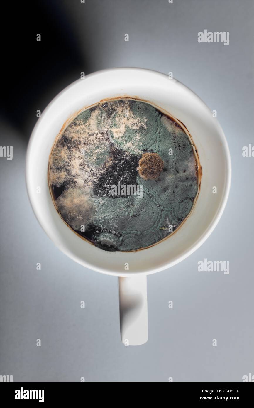 Bacteria surface hi-res stock photography and images - Alamy