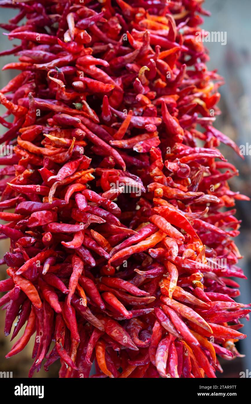 Dried red chilli peppers hi-res stock photography and images - Alamy