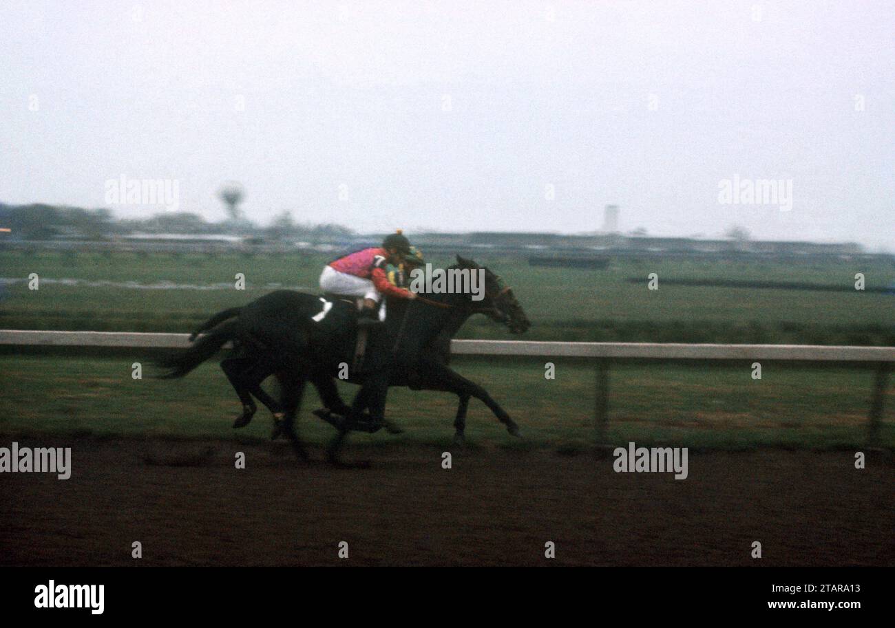 NEW YORK, NY - OCTOBER 1: Anisado #7 and Round Table #1 race around the ...